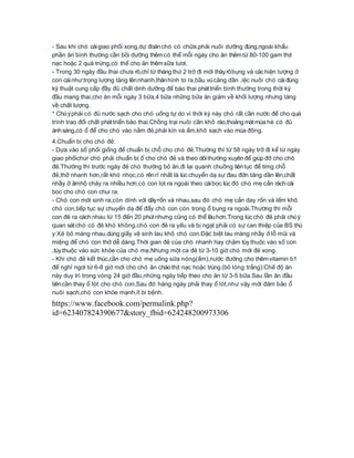 Qui trình chăm sóc chó đẻ | DOC