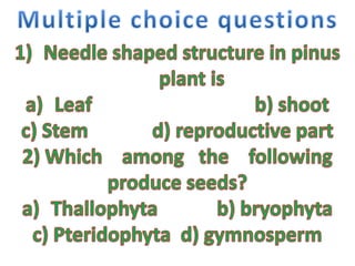 Quiz on diversity in living organisms | PPTX
