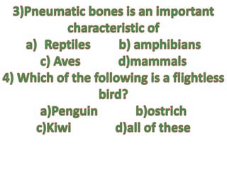 Quiz on diversity in living organisms | PPTX