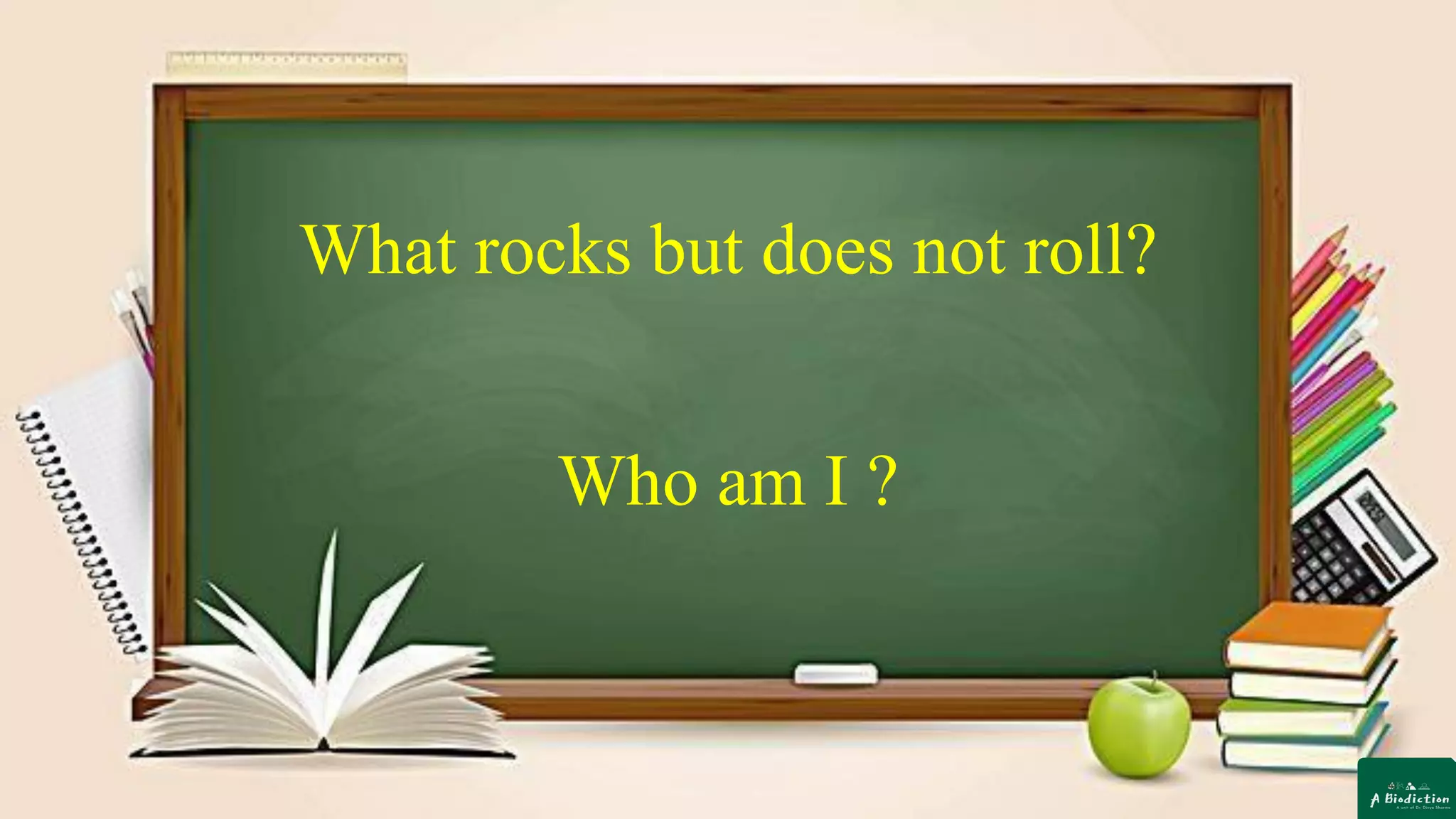 Brain Teasing Quiz | PDF