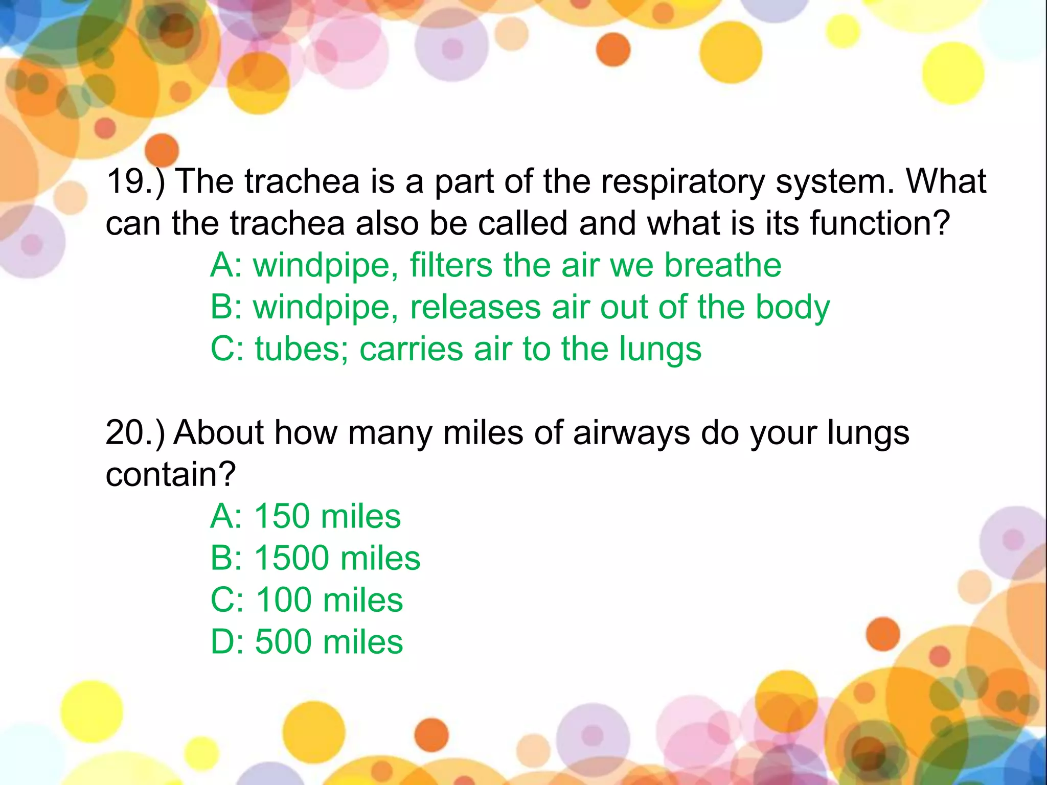 Quiz 1 activity 1 Respiratory System | PPTX
