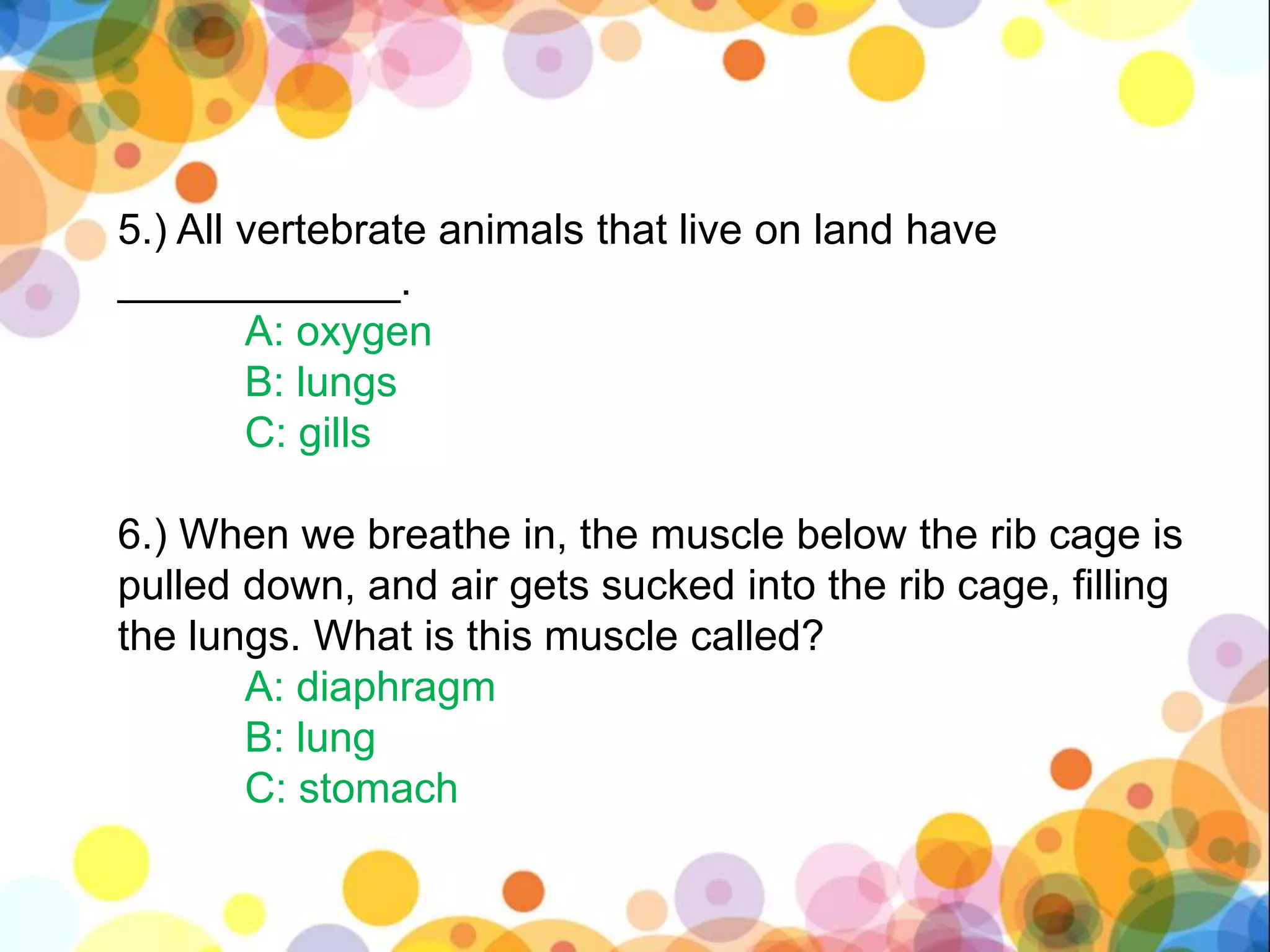 Quiz 1 activity 1 Respiratory System | PPT