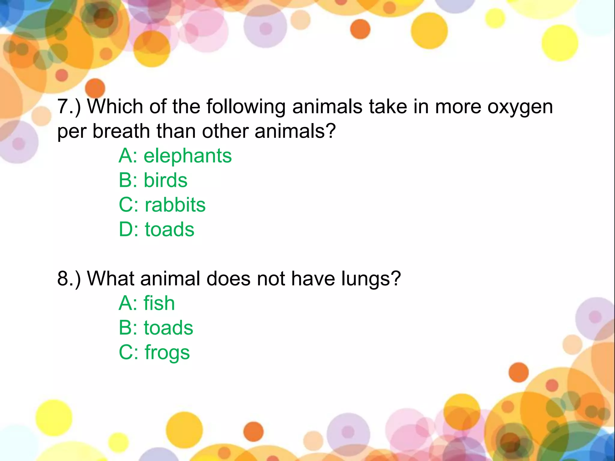 Quiz 1 activity 1 Respiratory System | PPTX