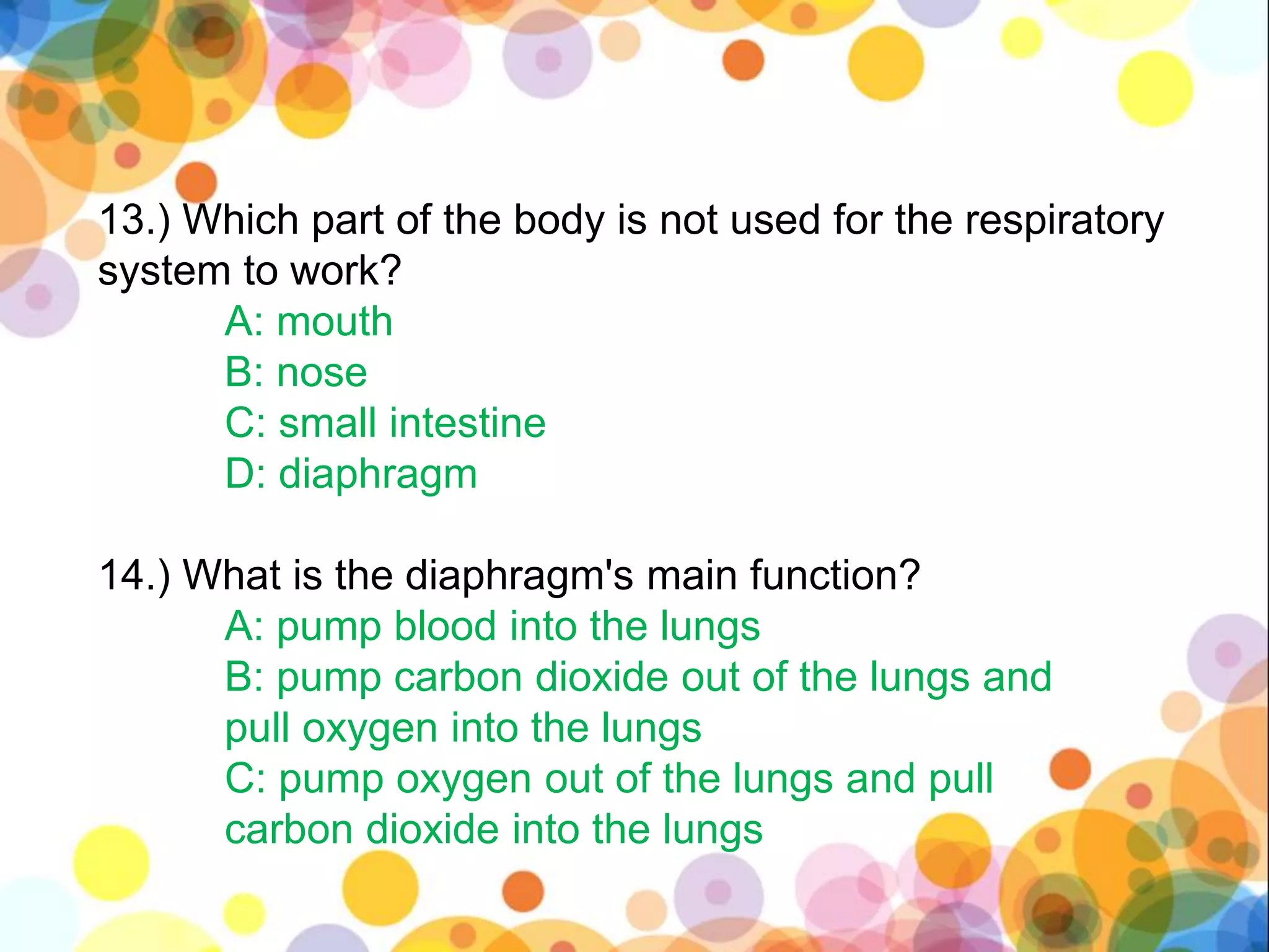 Quiz 1 activity 1 Respiratory System | PPTX