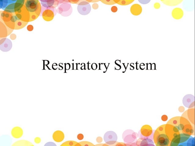 Quiz 1 activity 1 Respiratory System | PPT