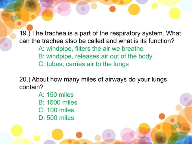 Quiz 1 activity 1 Respiratory System | PPT