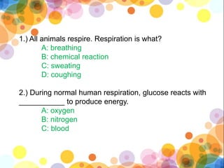 Quiz 1 activity 1 Respiratory System | PPTX