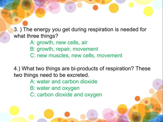 Quiz 1 activity 1 Respiratory System | PPT
