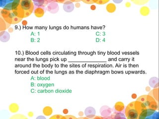 Quiz 1 activity 1 Respiratory System | PPTX
