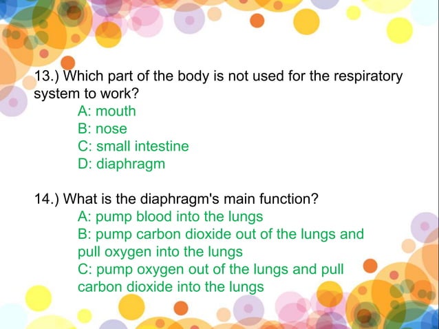Quiz 1 activity 1 Respiratory System | PPT