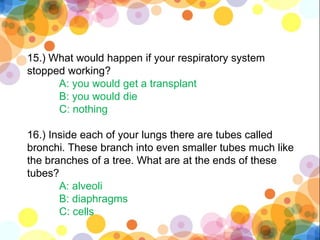 Quiz 1 activity 1 Respiratory System | PPTX