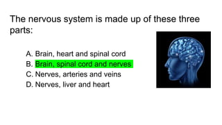 Quiz about the human body | PPTX