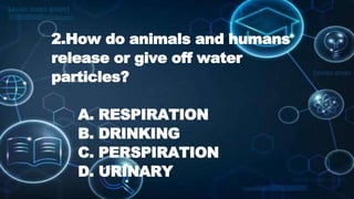 science quiz bee easy medium hard for grade 4 5 and 6 | PPTX