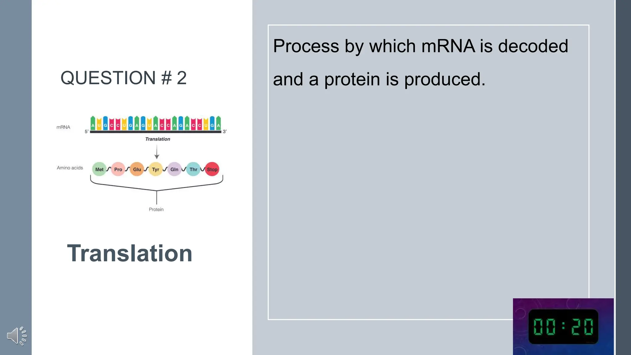 Quiz bee DNA^J Protein Synthesis^J Genetics Engineering.pptx