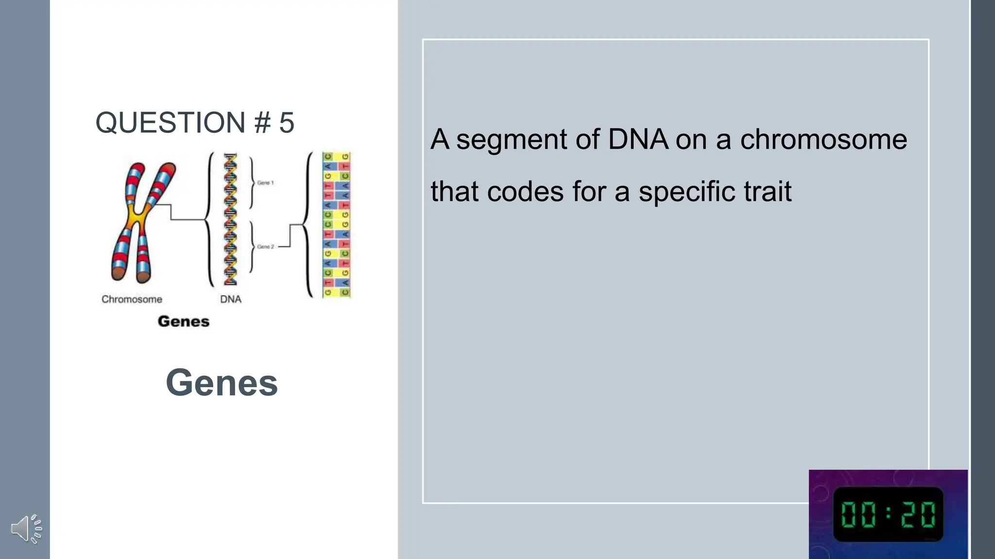 Quiz bee DNA^J Protein Synthesis^J Genetics Engineering.pptx