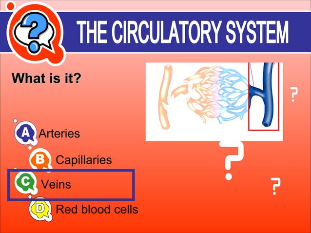 Quiz circulatory system | PPT