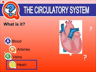 Quiz circulatory system | PPT