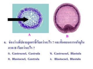 Quiz Development.pdf