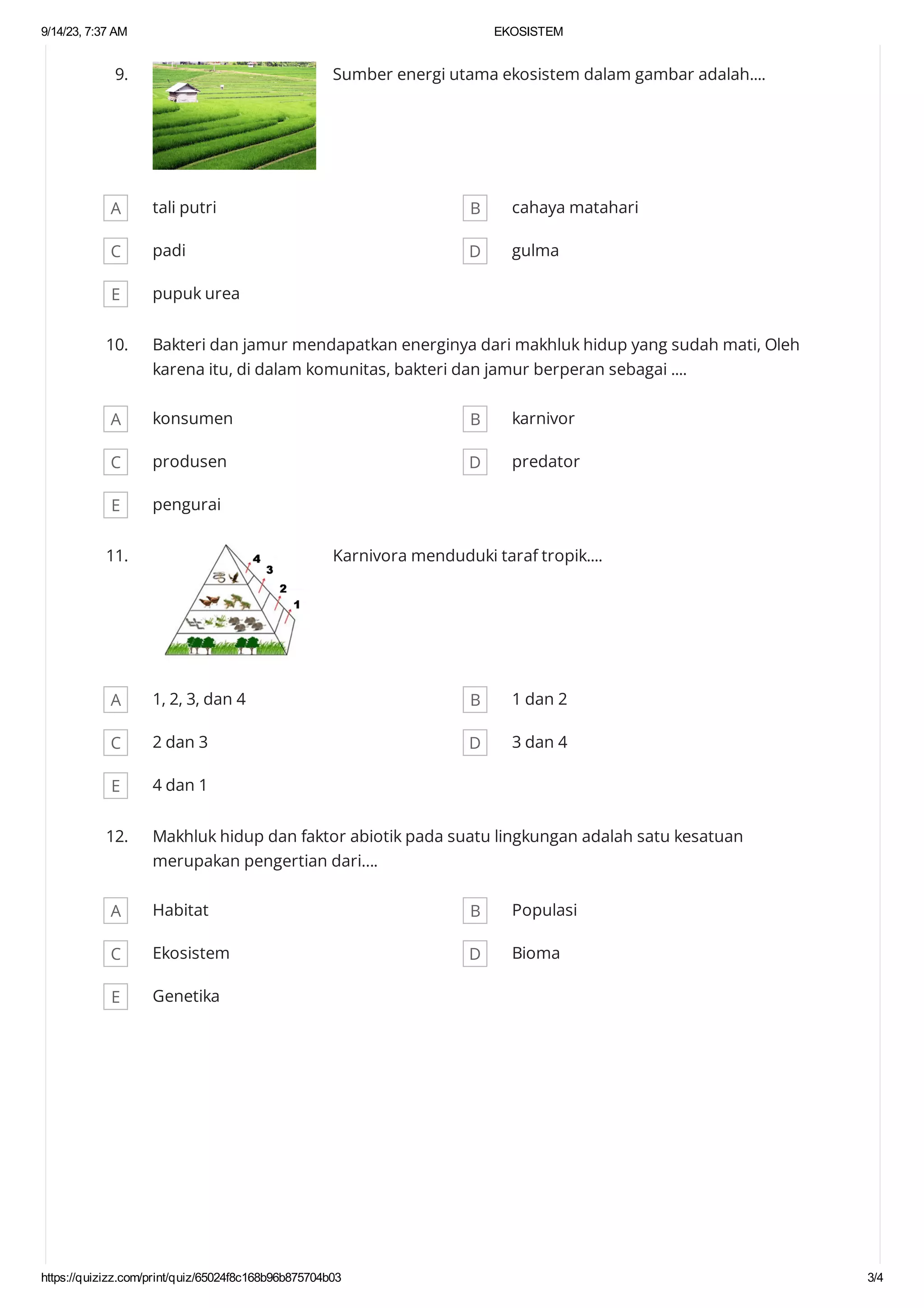 QUIZ EKOSISTEM.pdf