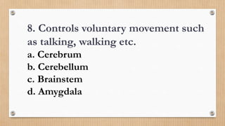 QUIZ IN POWER OF MIND (function of the brain.pptx