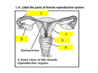 quiz in reproductive.pptx | Infertility | Reproductive Health