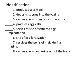 quiz in reproductive.pptx | Infertility | Reproductive Health
