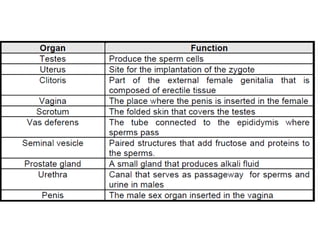 Female And Male Reproductive System Quiz