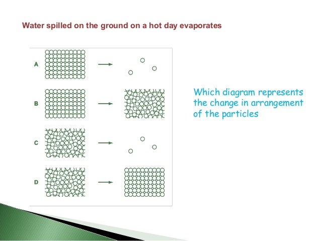 science-quiz-for-high-school-students