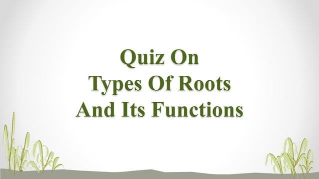 Quiz on types of roots and their Function | PPT