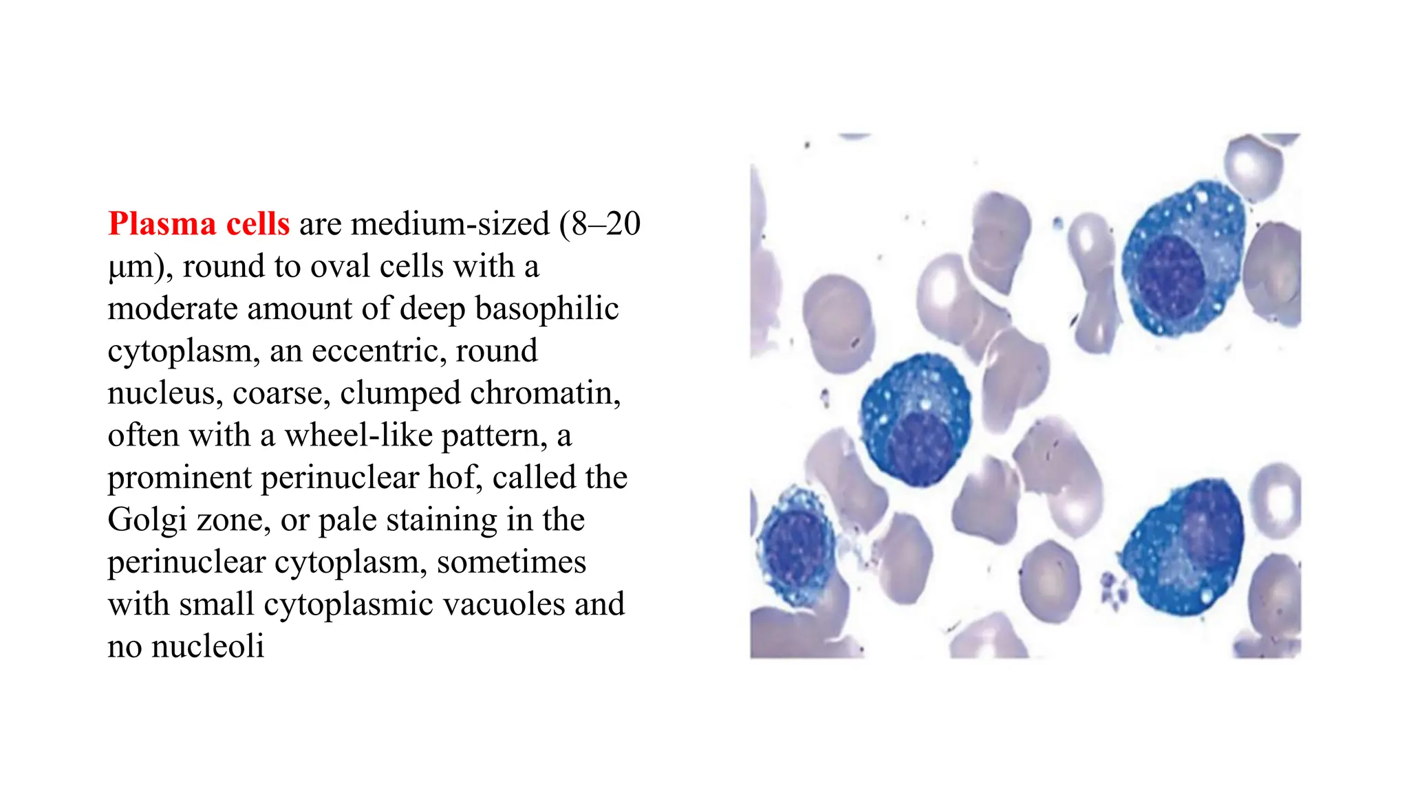 QUIZ ON BONE MARROW-MICROCYTIC + APLASTIC.pptx