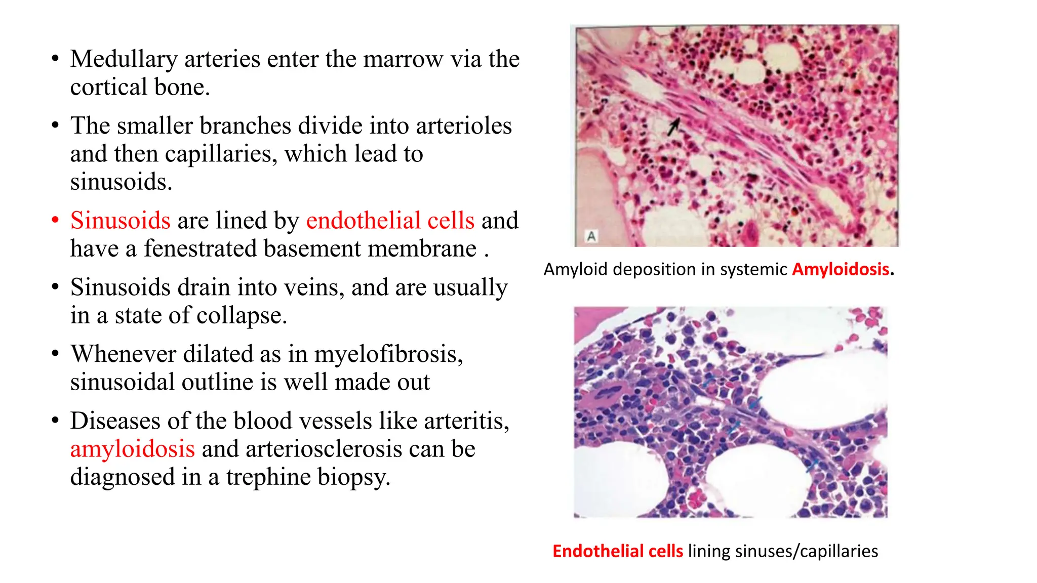 QUIZ ON BONE MARROW-MICROCYTIC + APLASTIC.pptx
