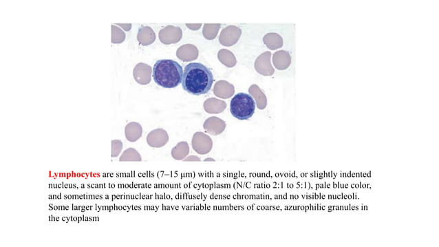 QUIZ ON BONE MARROW-MICROCYTIC + APLASTIC.pptx