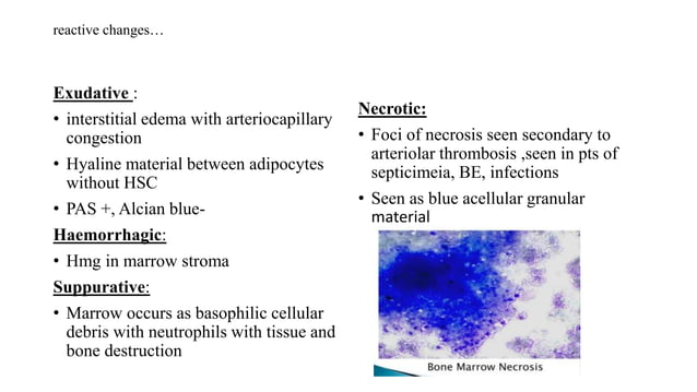 QUIZ ON BONE MARROW-MICROCYTIC + APLASTIC.pptx