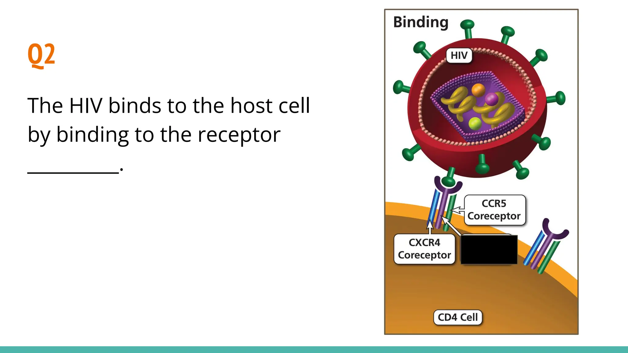 QUIZ ON HIV AIDS ( World AIDS DAY 2024 ).pdf