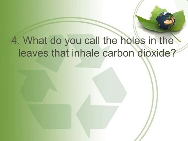 Quiz photosynthesis | PPT