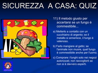 Quiz Sicurezza | PPS