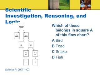 Quizz scientific method | PPT