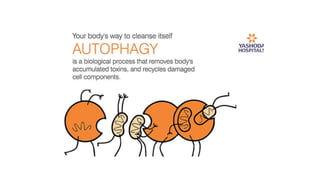 Qultum autophagy.pptx