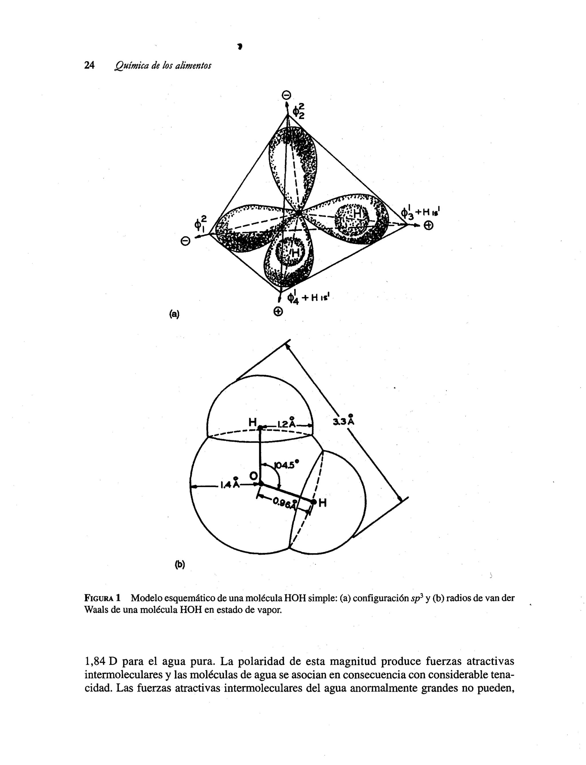 química-de-los-alimentos-fennema.pdf