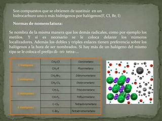 Halogenos, Gases Nobles e Ionización del Agua | PPTX