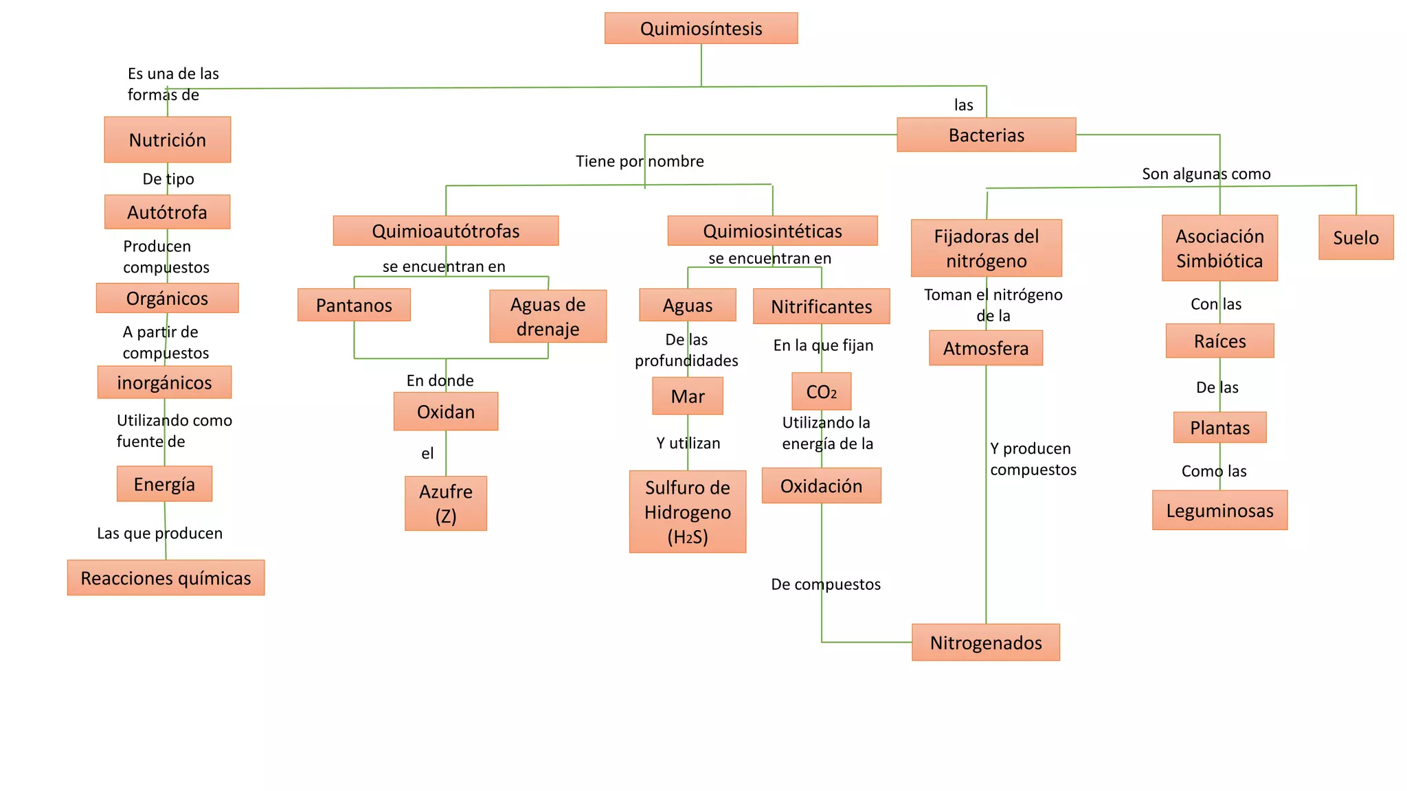 Mapa conceptual de quimiosíntesis | PPTX