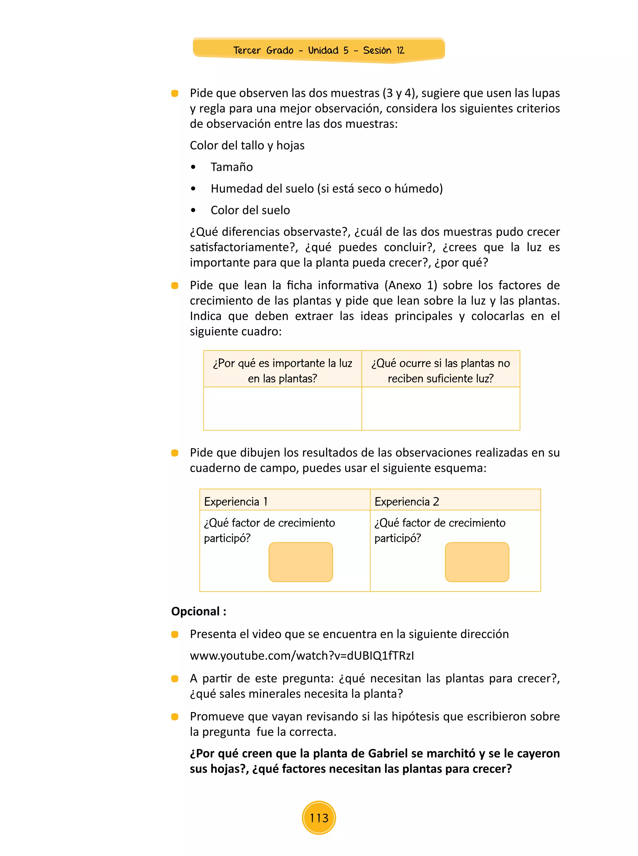 ¿Qué necesitan las plantas para crecer? | PDF