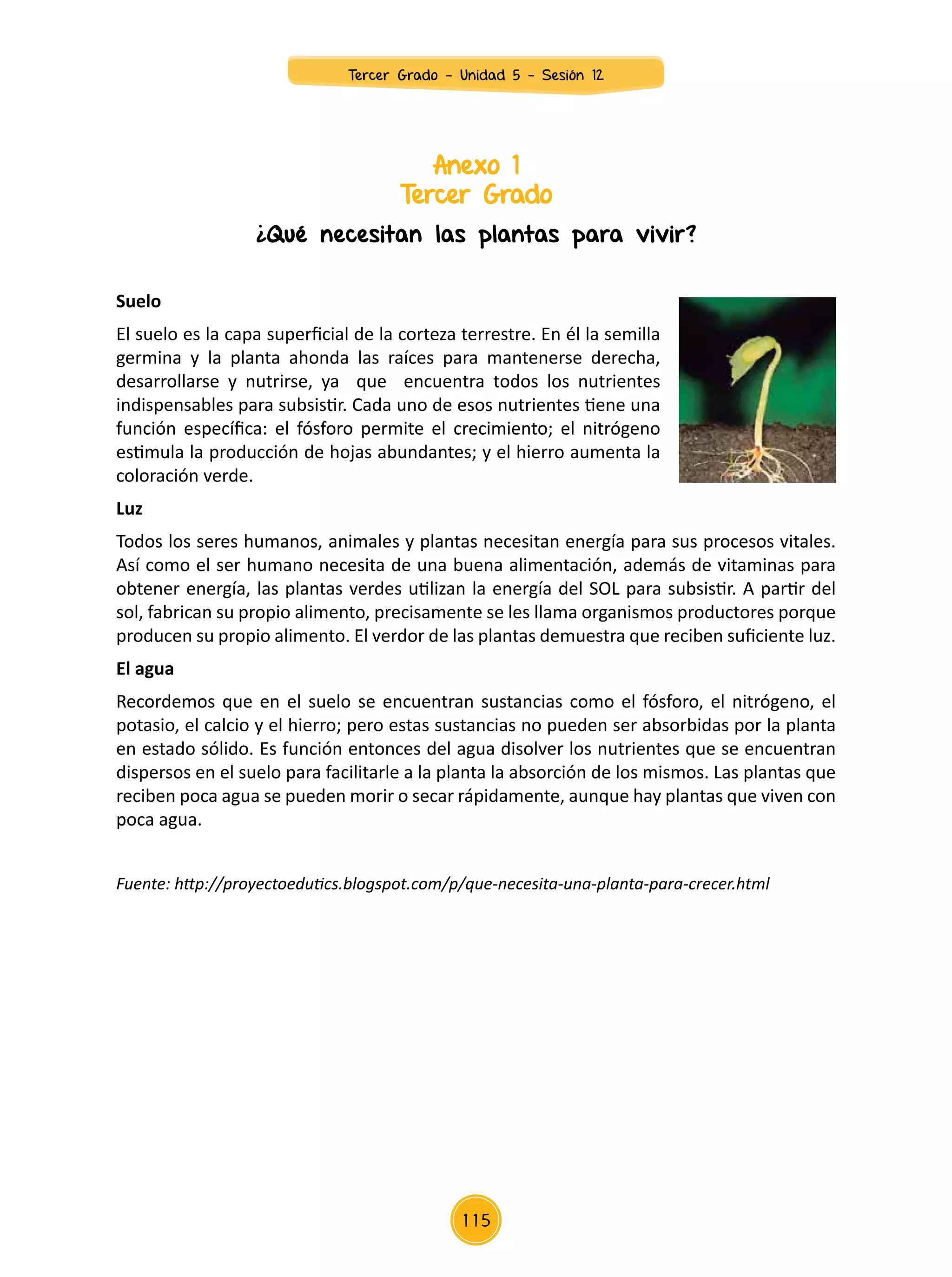 ¿Qué necesitan las plantas para crecer? | PDF
