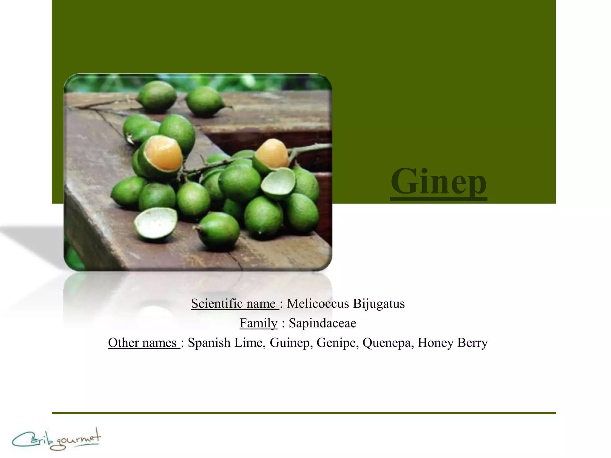 What is Ginep? What is Quénette? What is Melicoccus Bijugatus? | PPT