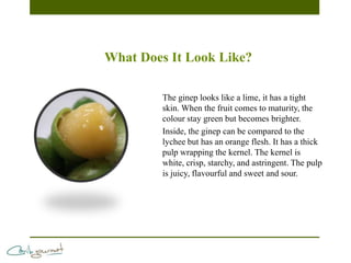 What is Ginep? What is Quénette? What is Melicoccus Bijugatus? | PPT