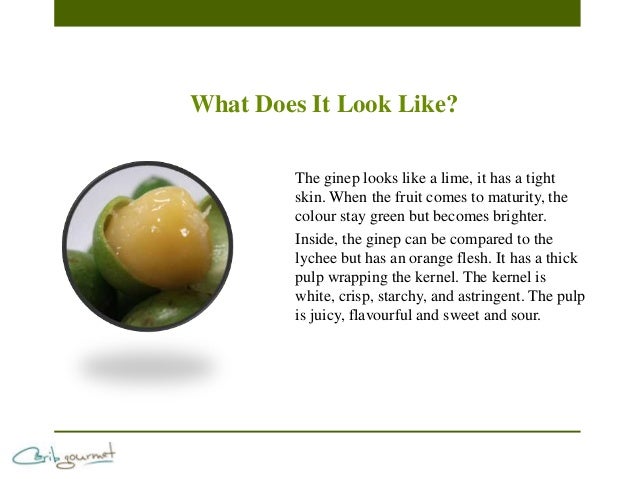 What is Ginep? What is Quénette? What is Melicoccus Bijugatus?