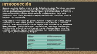 Qué nos diferencia de los chimpancés | PPTX