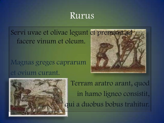 Quomodo vivebant romani? | PPSX