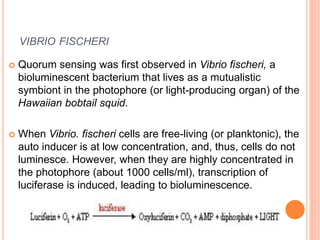 Quorum sensing and its significance | PPTX