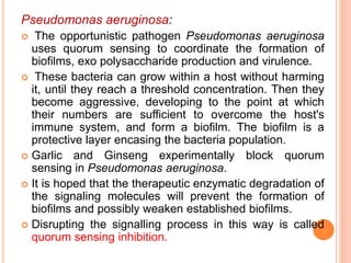 Quorum sensing and its significance | PPTX